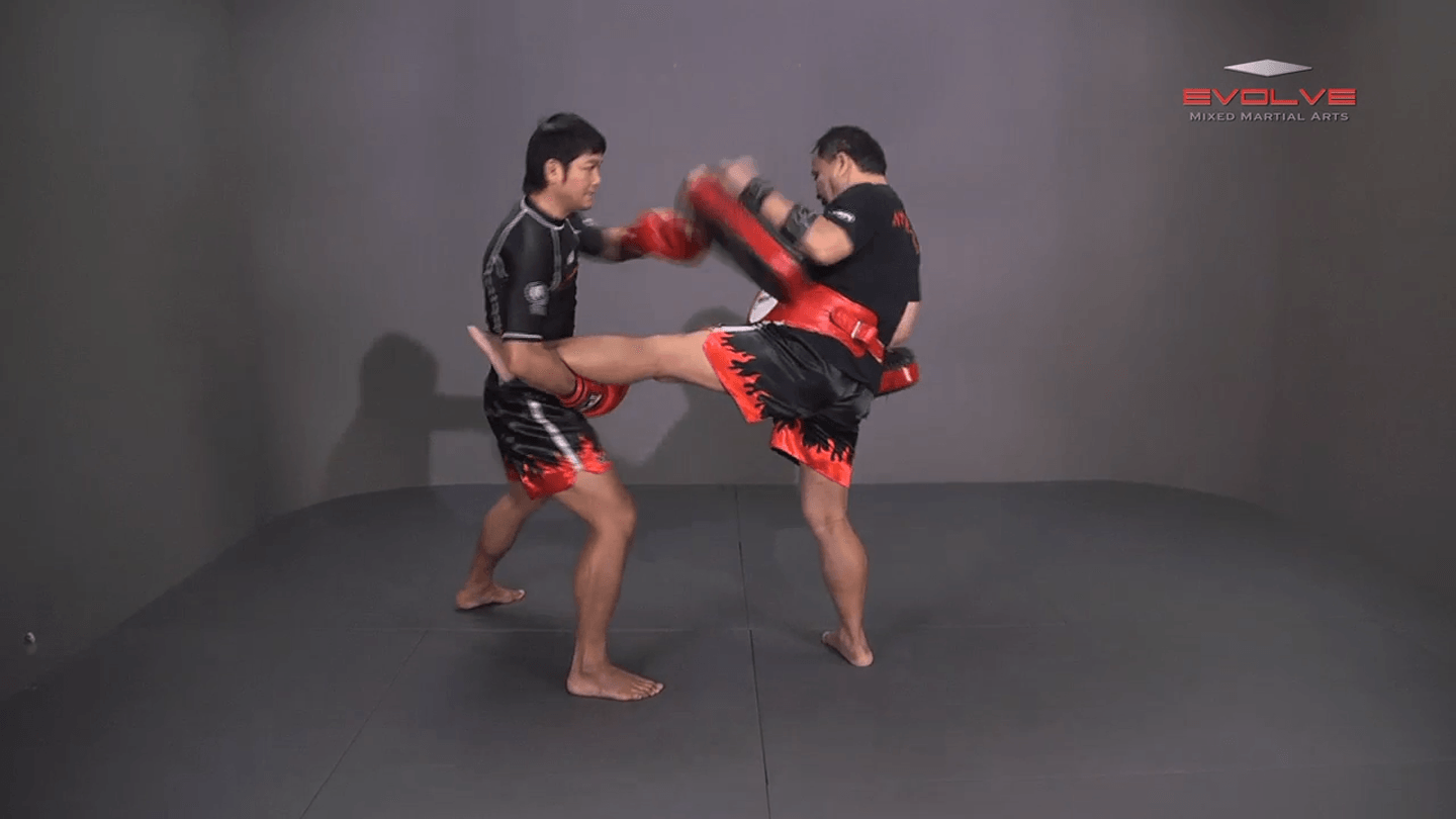 Attachai Fairtex: Catch, Punch, Low Kick - Evolve University