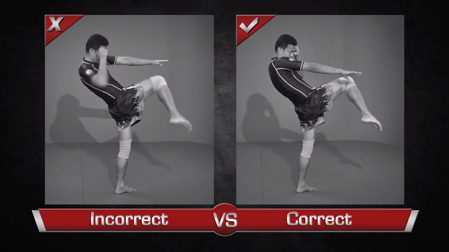 Knee Strikes - Evolve University