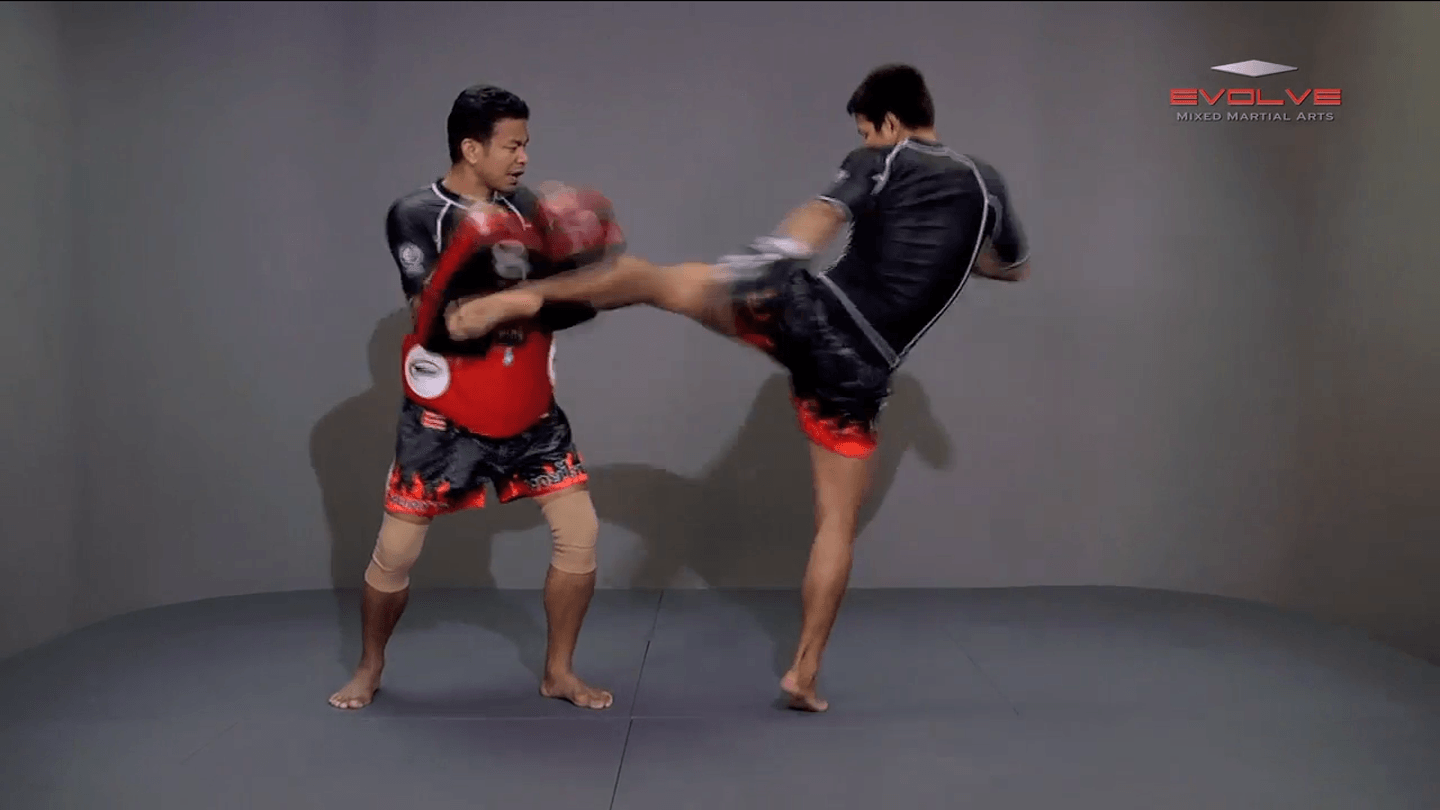 Left Switch Kick - Evolve University