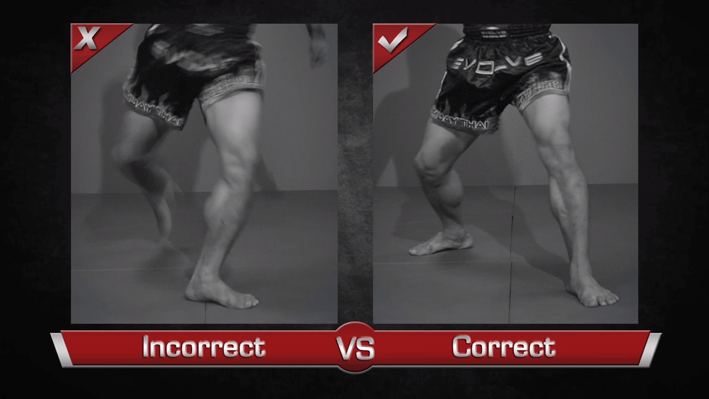 Low Kick - Evolve University