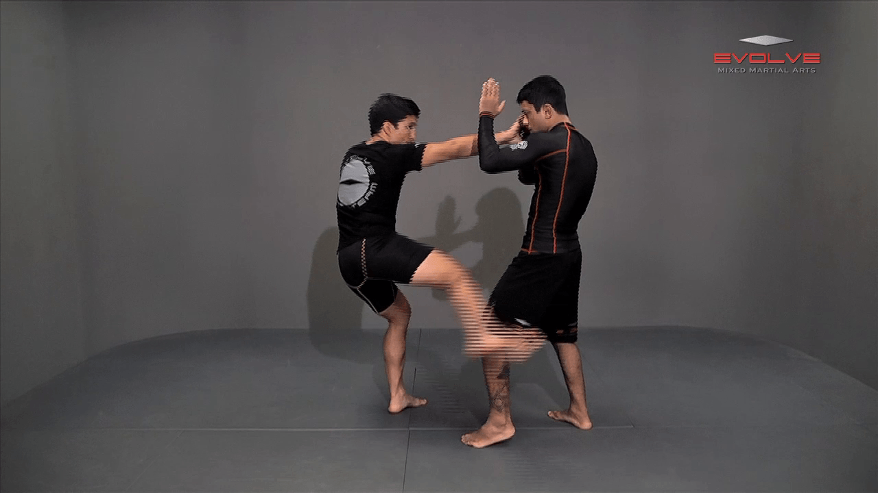 UFC Joseph Benavidez MMA Striking Combination - Evolve University