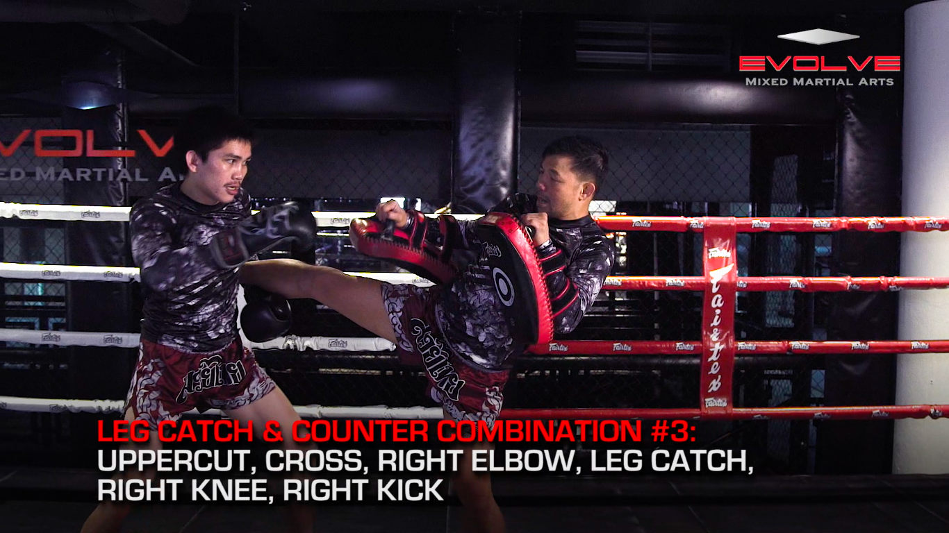 5 Leg Catch & Counterattack Combinations - Evolve University