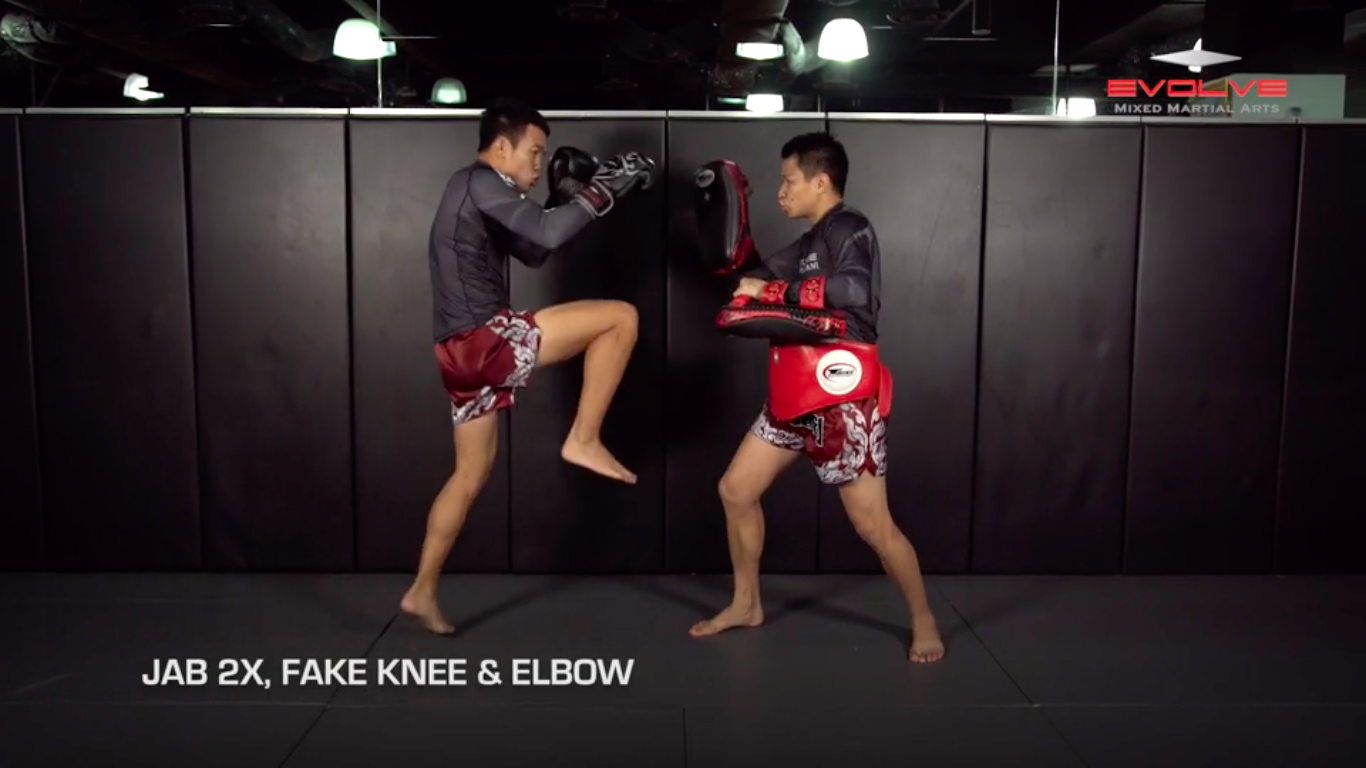 5 Fake Knee KO Combinations - Evolve University