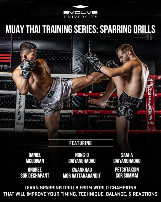 Courses - Evolve University