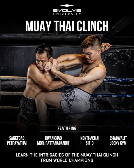 Archives: Courses - Evolve University