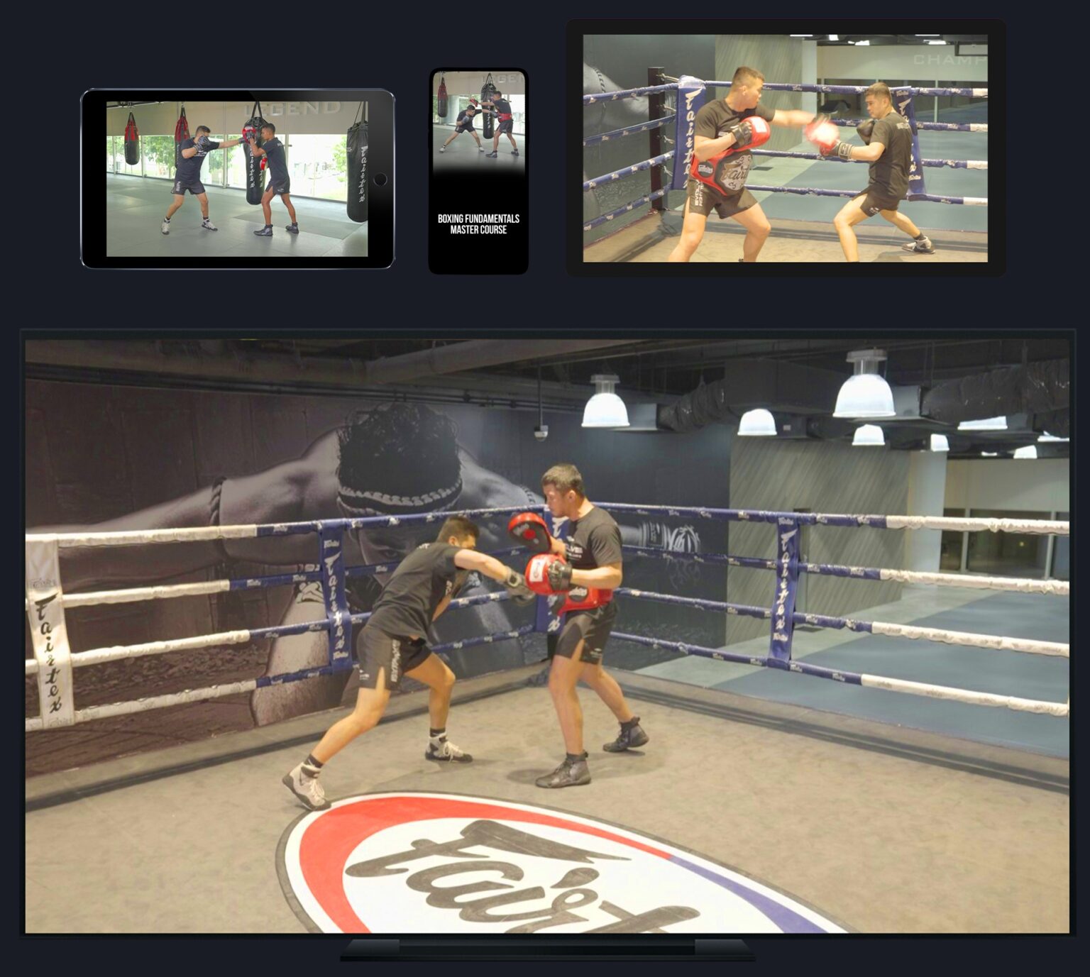Boxing Fundamentals - Evolve University | Evolve University