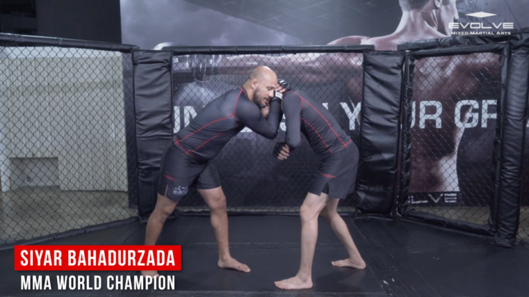An Introduction To Clinching In MMA - Evolve University
