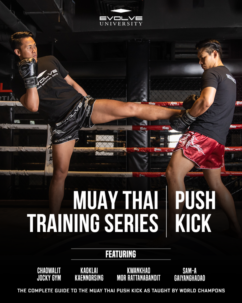 Archives: Courses - Evolve University