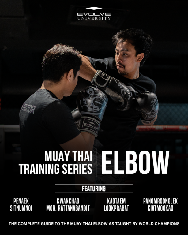 Courses - Evolve University