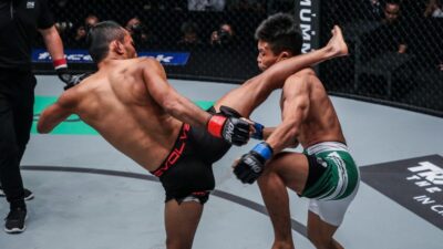 The 4 Most Common Striking Styles Found In MMA - Evolve University