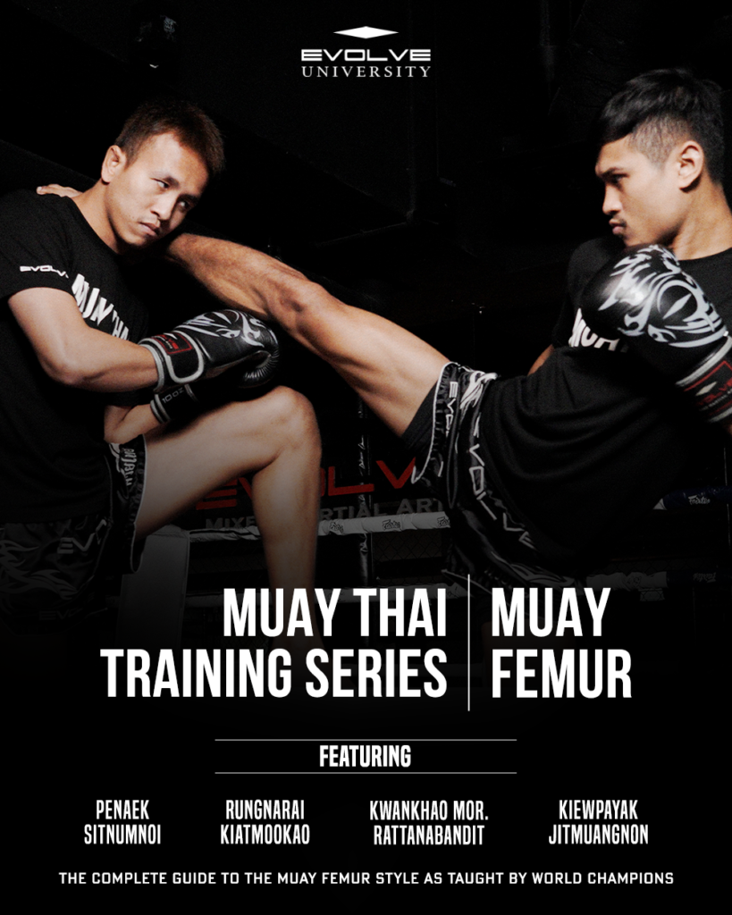 Archives: Courses - Evolve University