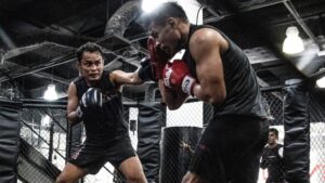 A Beginner’s Guide To MMA Sparring - Evolve University