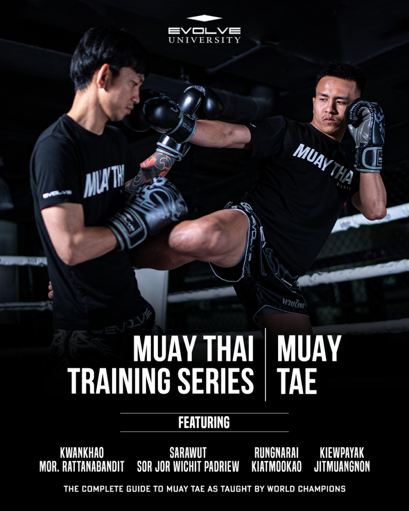 Archives: Courses - Evolve University