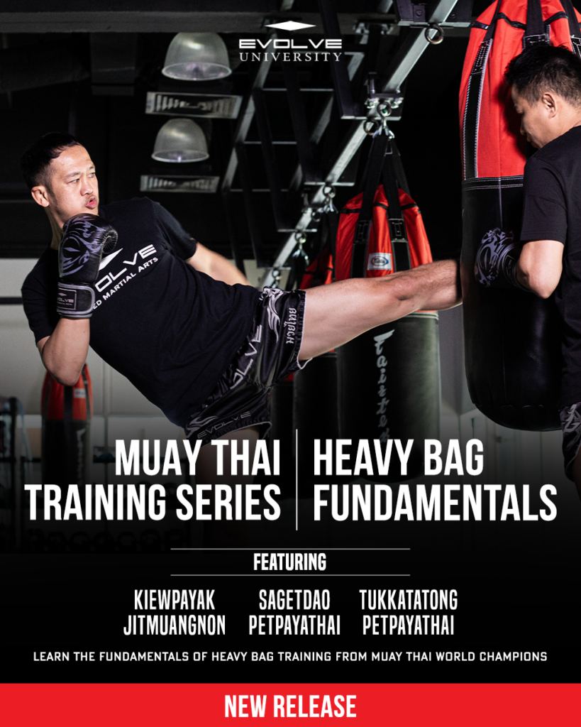 Archives: Courses - Evolve University